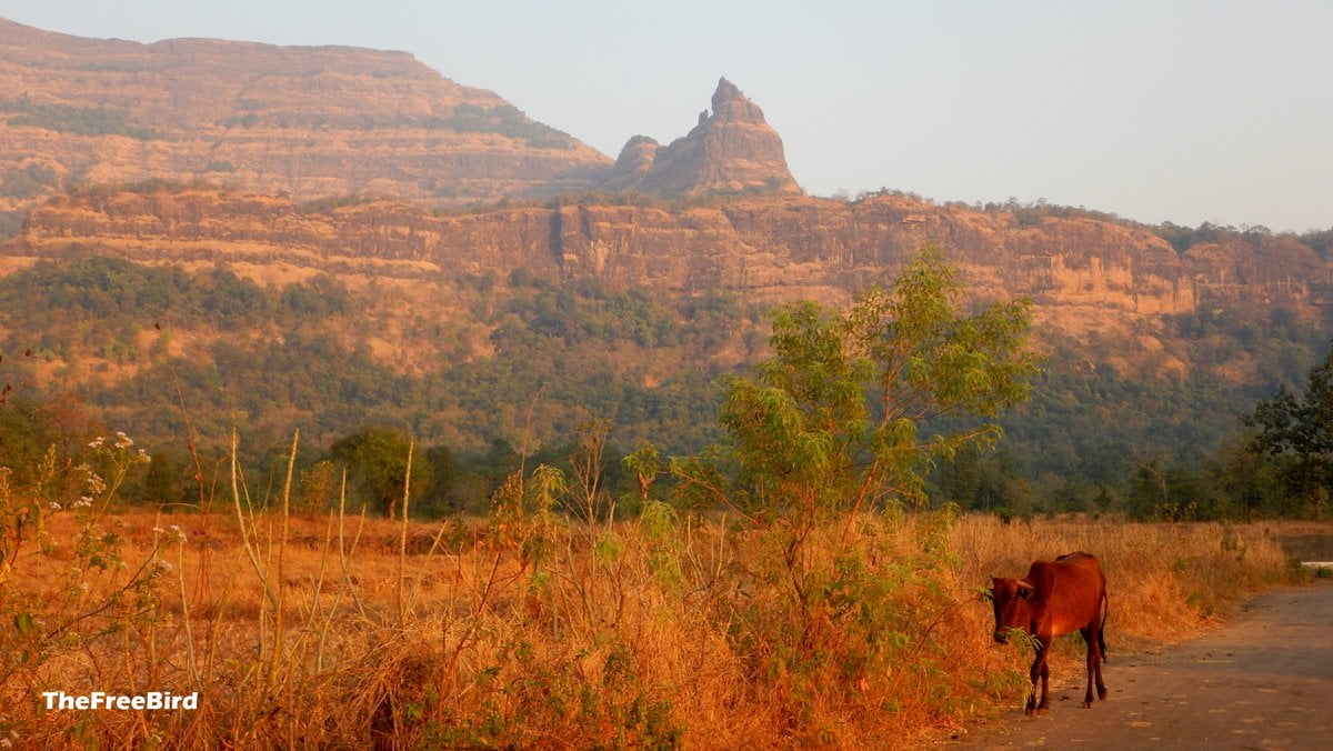 Padargad Trek Blog ️Chimney Climbing makes is exciting
