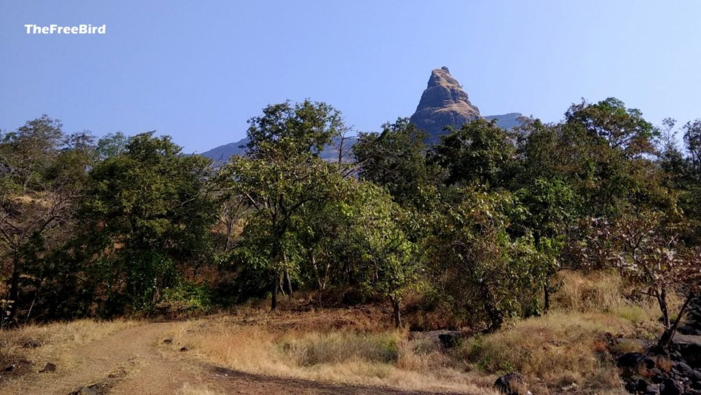 Padargad Trek Blog ️Chimney Climbing makes is exciting