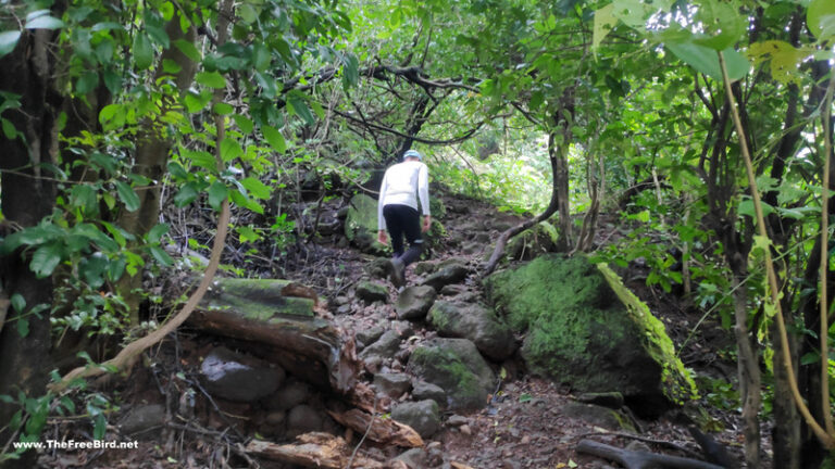 Manikgad Trek Blog ️Avoid my mistakes & dont get lost here
