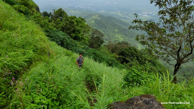 Manikgad Trek Blog ️Avoid my mistakes & dont get lost here