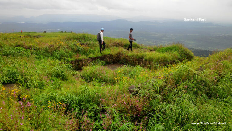 Manikgad Trek Blog ️Avoid my mistakes & dont get lost here