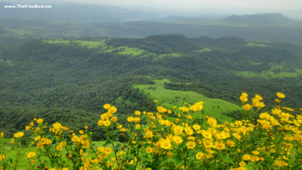 Manikgad Trek Blog ️Avoid my mistakes & dont get lost here