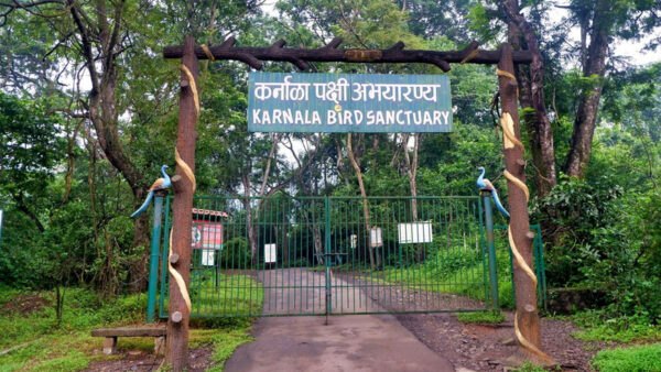 Karnala Fort Trek ️Why we love this bird sanctuary - TheFreeBird