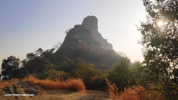 Karnala Fort Trek ️Why we love this bird sanctuary - TheFreeBird