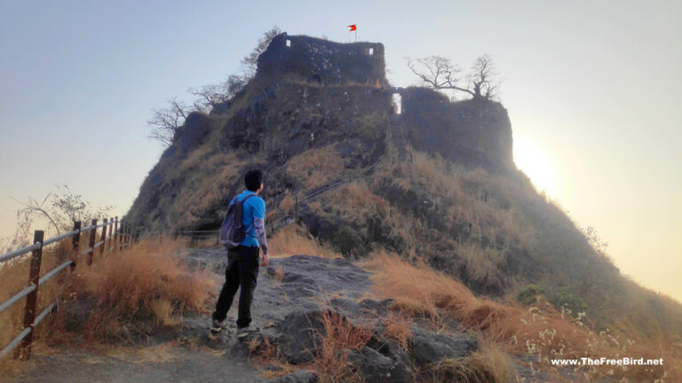 Karnala Fort Trek ️Why we love this bird sanctuary - TheFreeBird