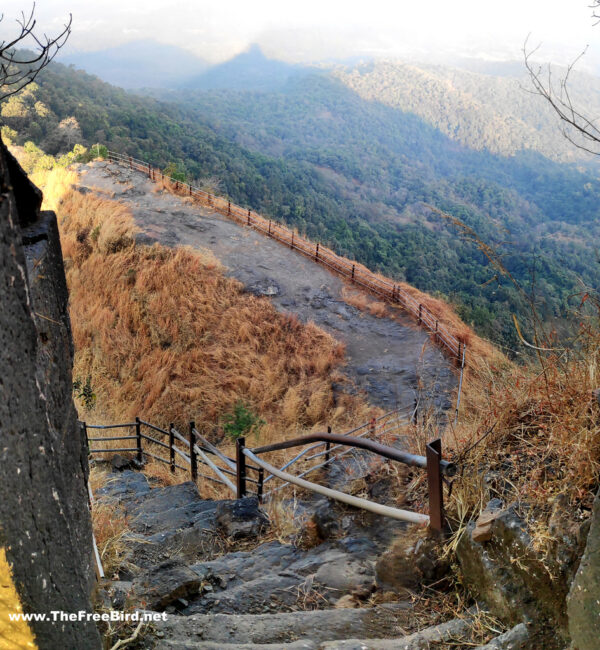 Karnala Fort Trek ️Why we love this bird sanctuary - TheFreeBird