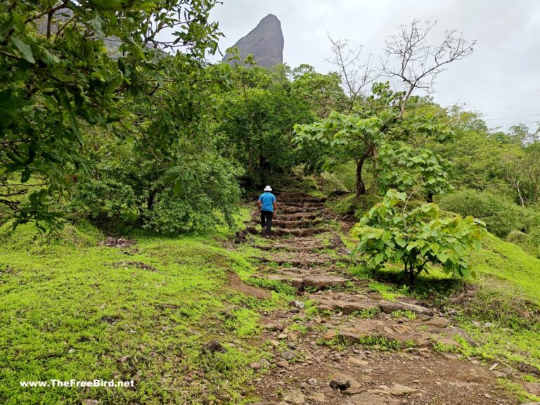Naneghat Reverse Waterfall Is So Beautiful ️ Trade Route trek