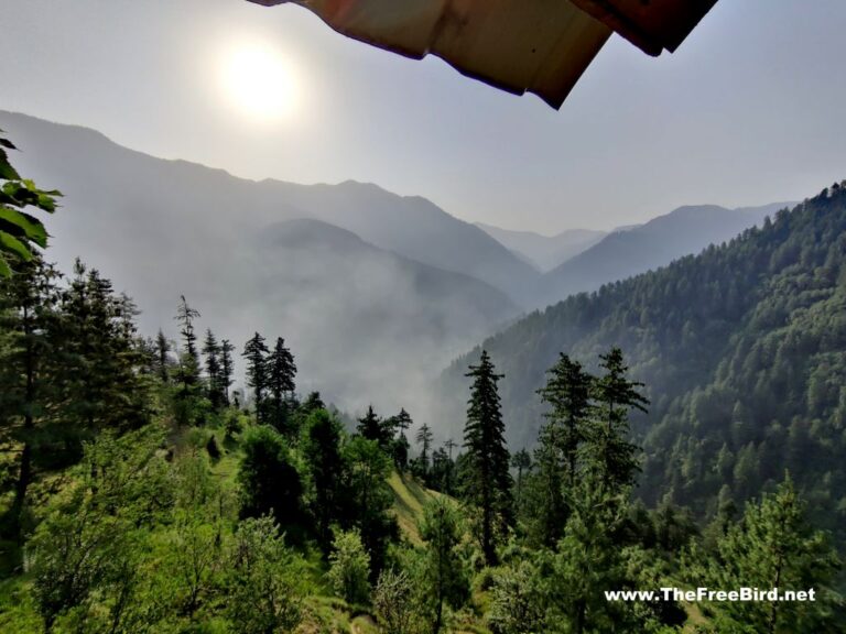Jibhi Tirthan Valley ️ Travel guide via Jalori Pass Shimla